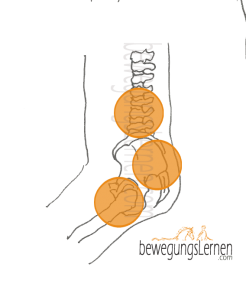 Beckenkippung 2 PNG - BewegungsLernen.com