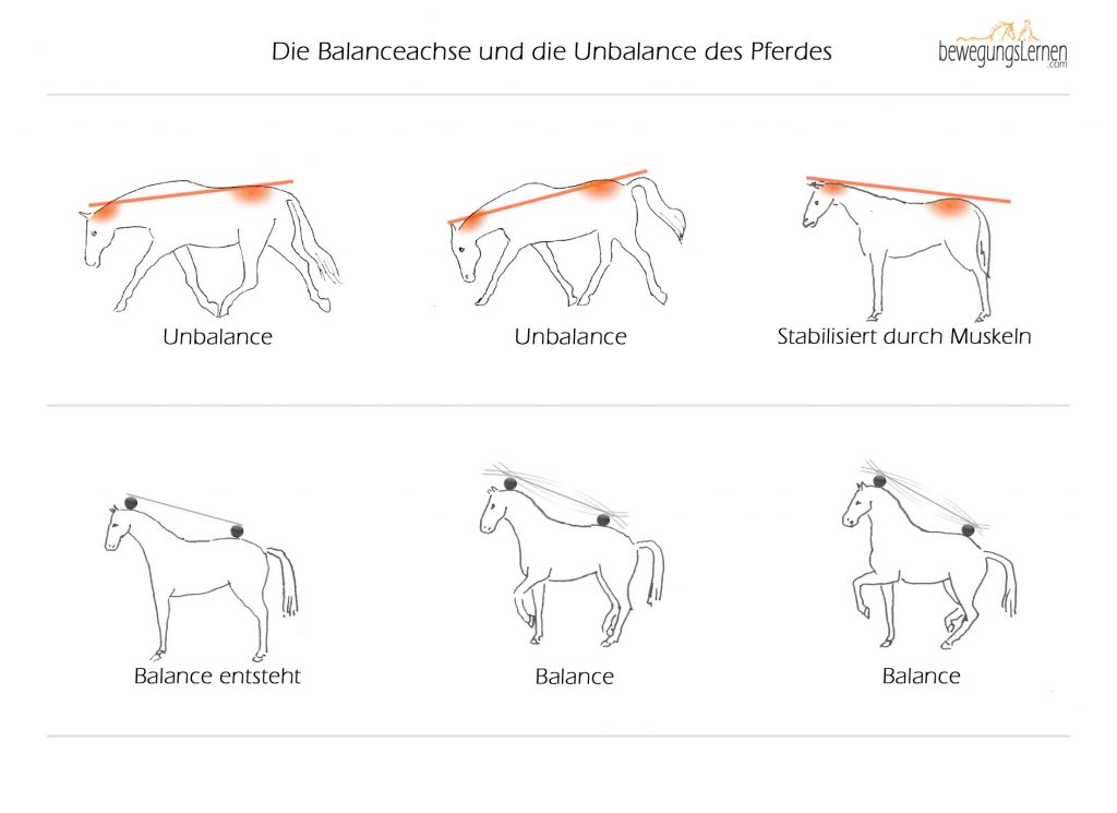Balance Breit Kopie - BewegungsLernen.com